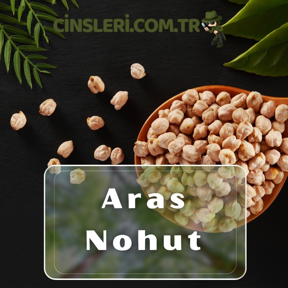Nohut Çeşitleri - Cinsleri