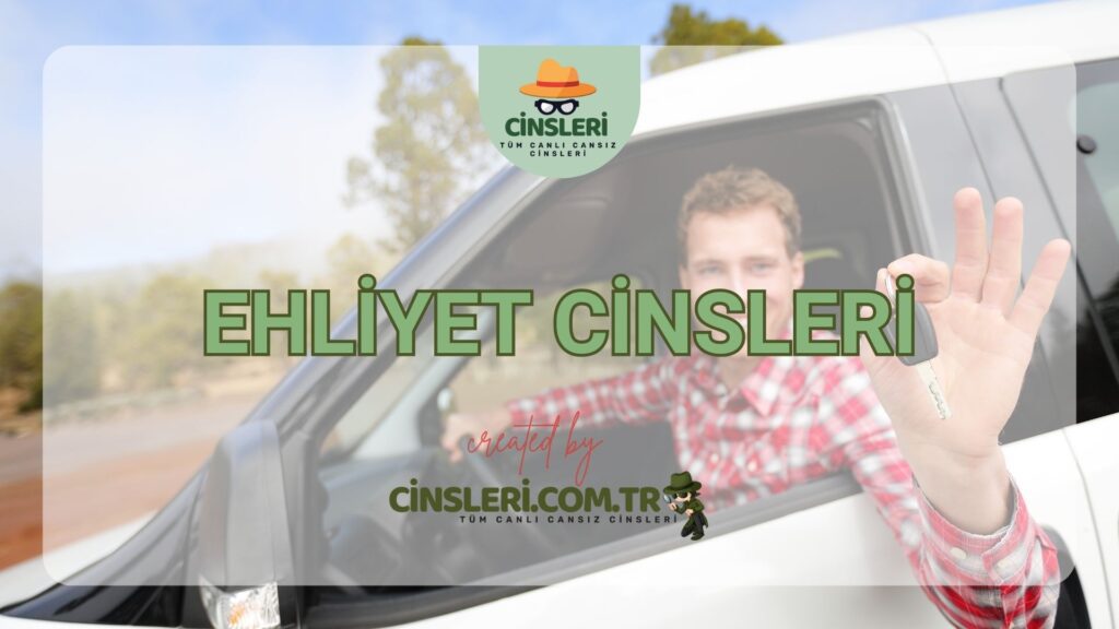 Ehliyet Cinsleri - Cinsleri